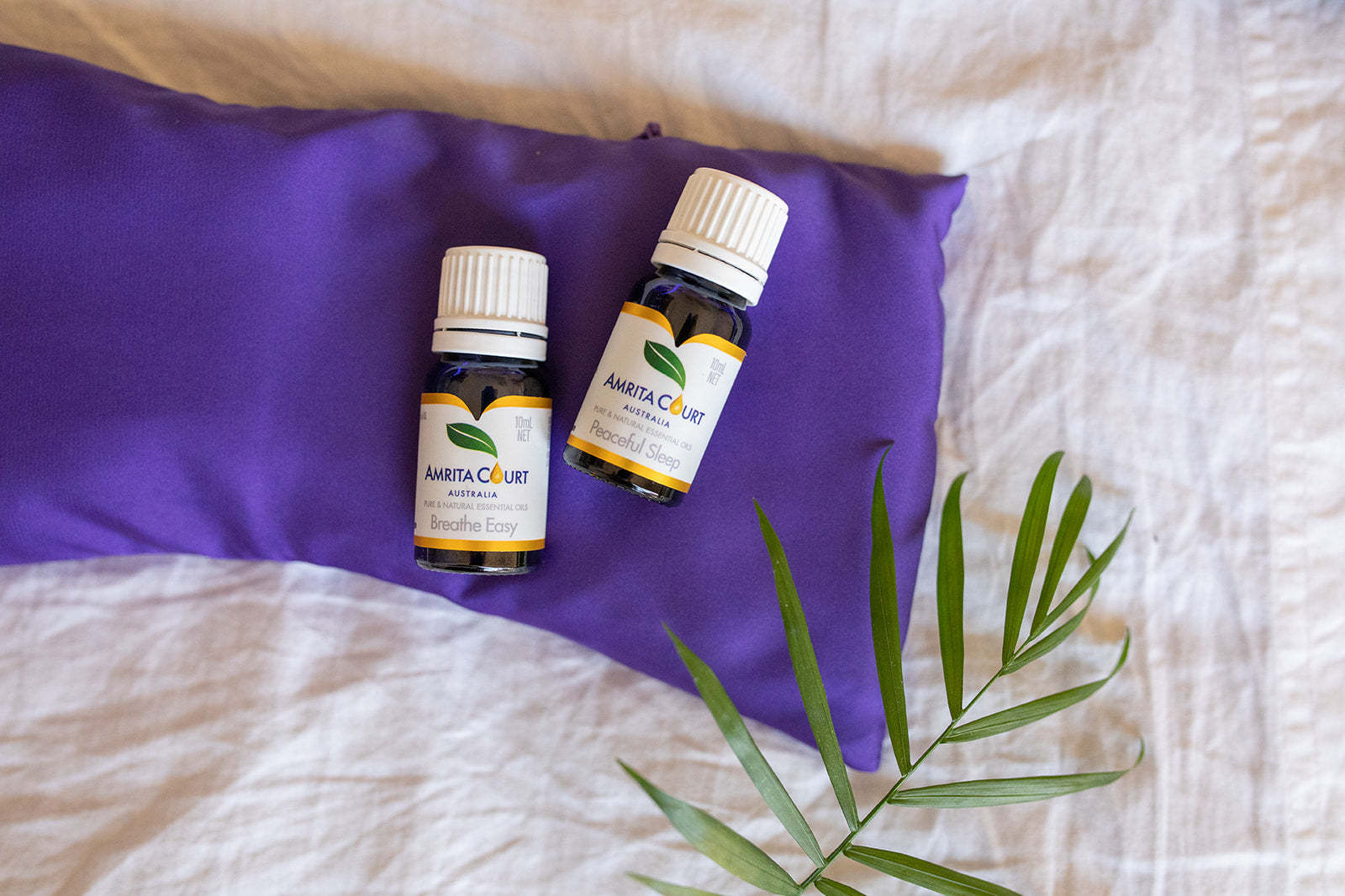 Aroma Ritual Bundles daily self-care meets timeless aromatherapy ...