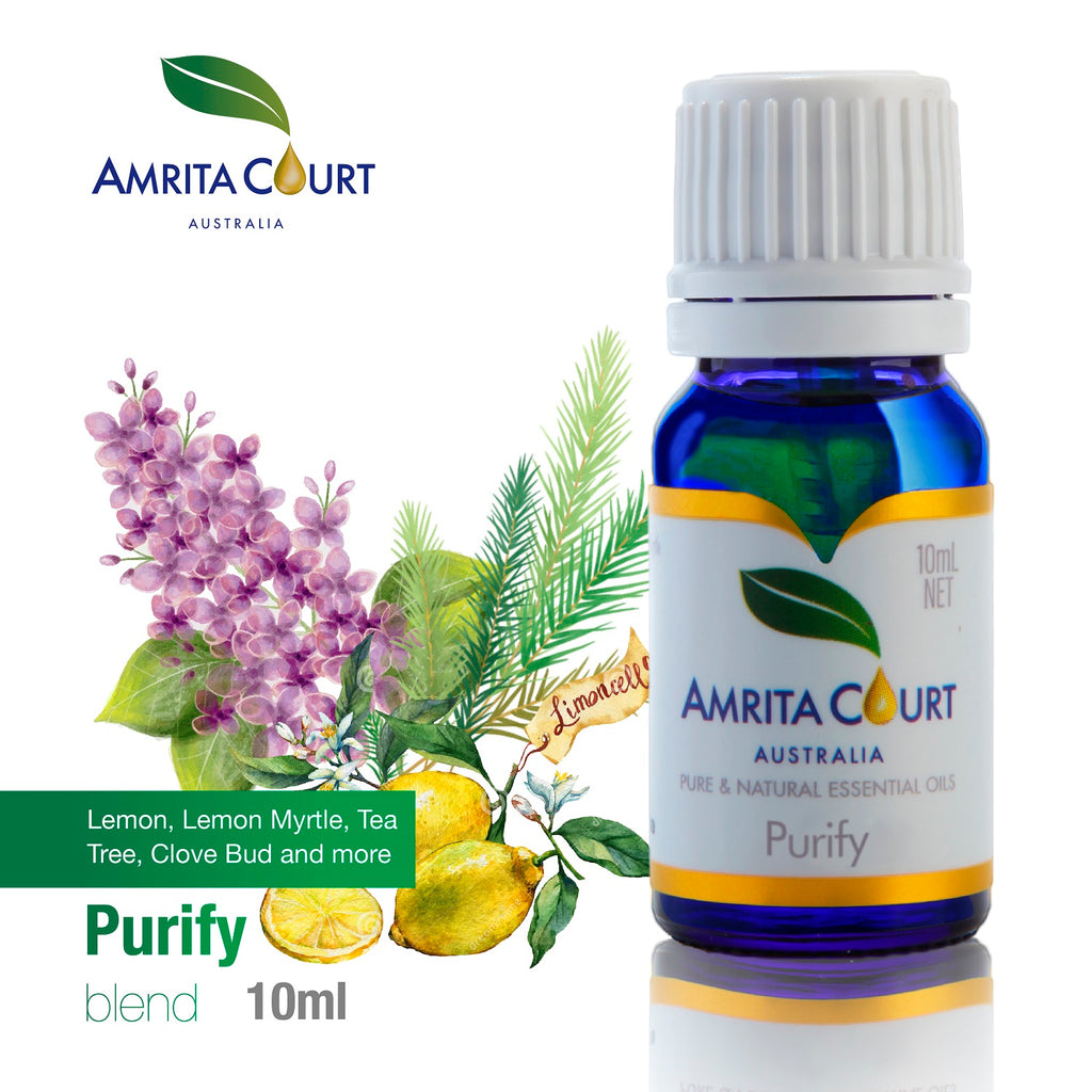Purify Blend Clean Air Essential Oil | Infuse Positive Energy – Amrita ...